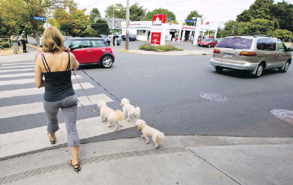 Many drivers confused by crosswalks - Joan Wallace Driving School
